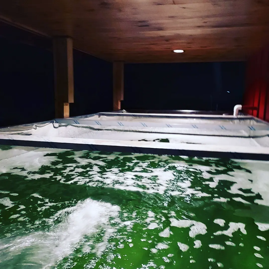 Syrup : BrixStone Farms